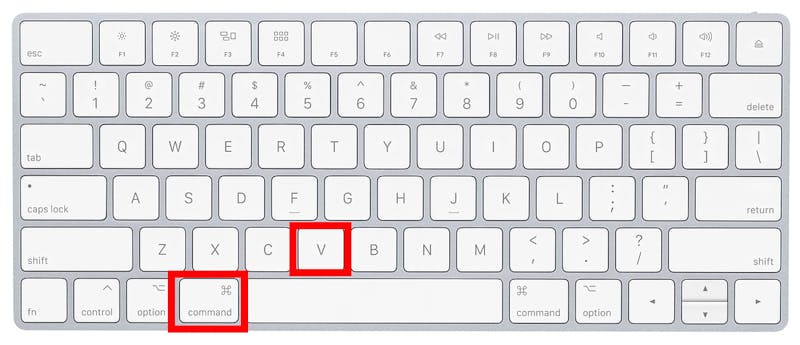How to Copy and Paste on Mac | Macinstruct