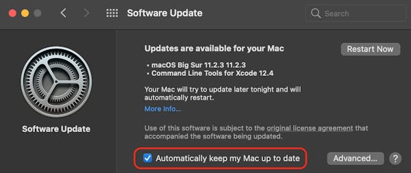 How to Disable Automatic Updates on Your Mac | Macinstruct